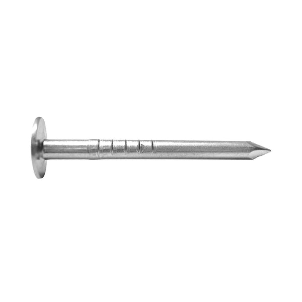 Electro-Galvanized Roofing Nail of 2", 300 Units - Matériaux JLS